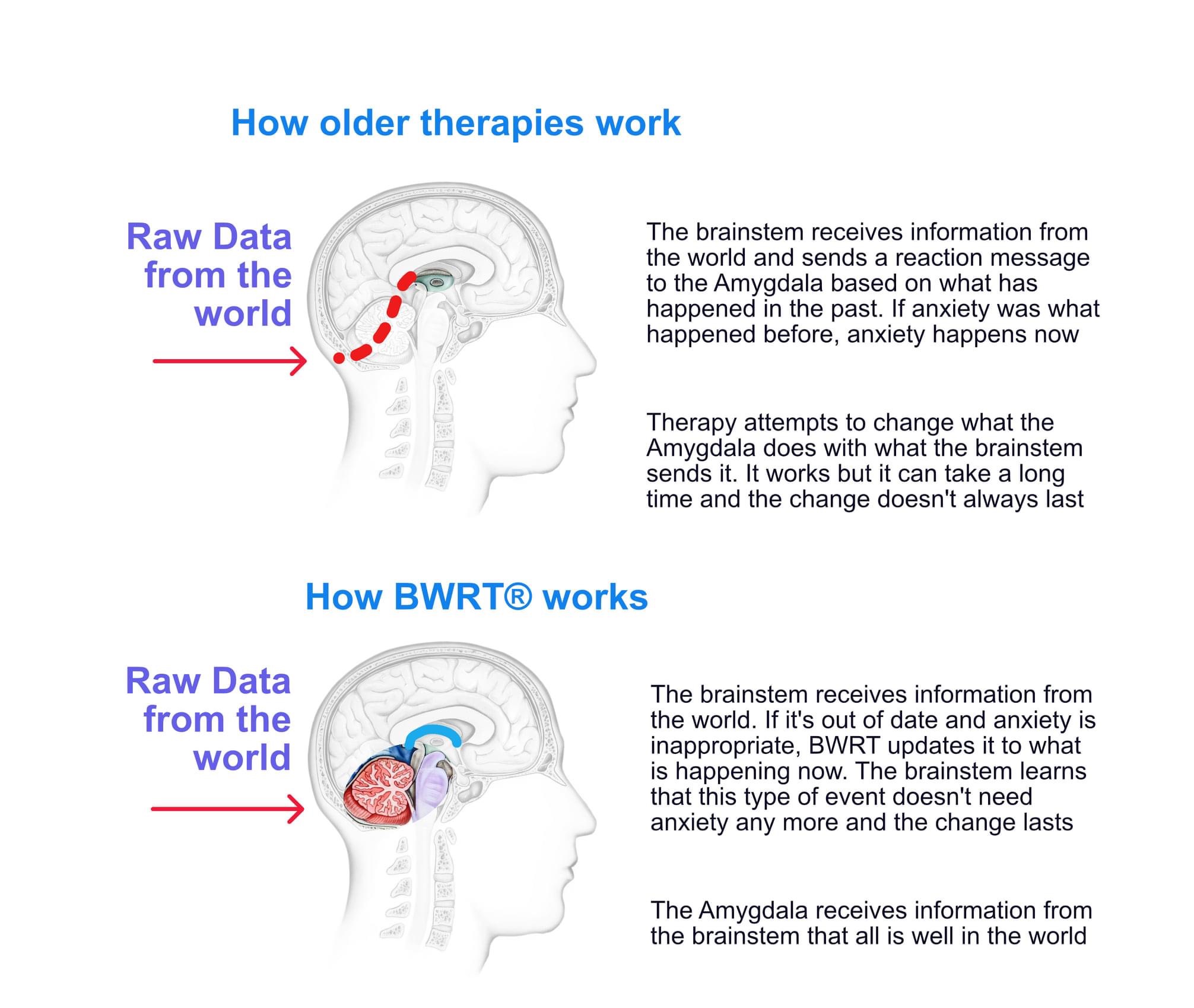 BWRT New York, Brainworking Recursive Therapy in USA